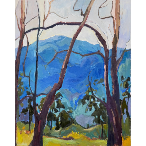 Eleanor Kramer - Into Rising Blue - Wild Island Tasmania