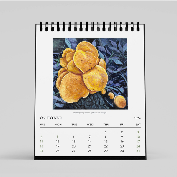 Sandi Rigby - Desk Calendar 2026 - Wild Island Tasmania