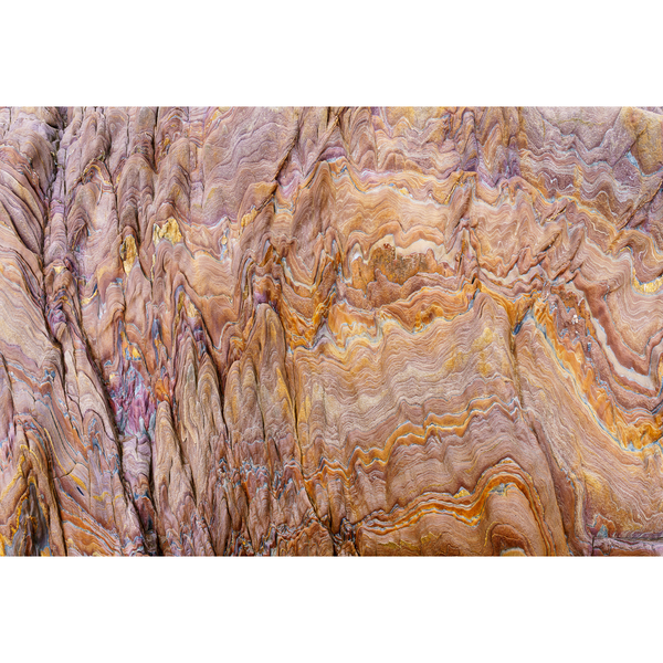 Grant Dixon - Cambrian Folding, Veridian Point - Wild Island Tasmania