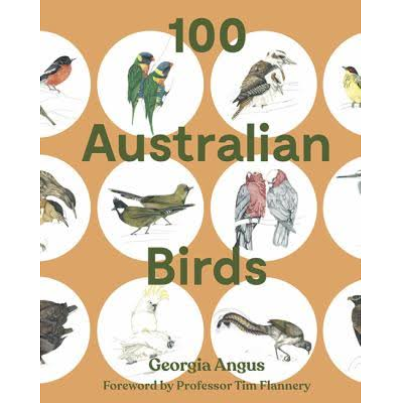 100 Australian Birds - Wild Island Tasmania