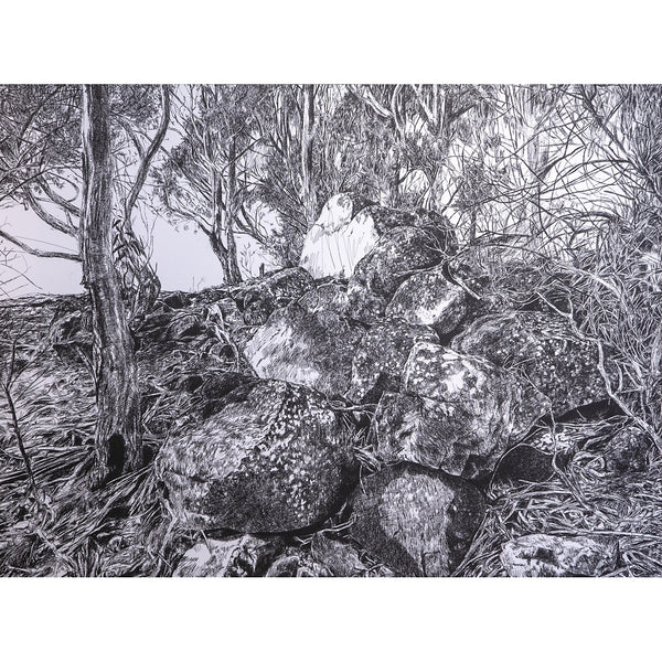 Russell Joyce - Rock Pile - Wild Island Tasmania