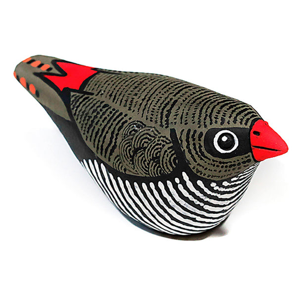 Eve Howard - Firetail Finch - Wild Island Tasmania