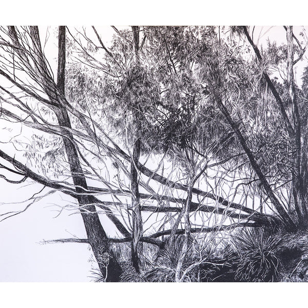 Russell Joyce - Reach - Wild Island Tasmania