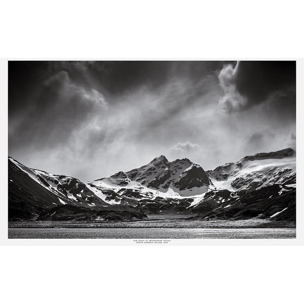 Peter Cosier - Fur Seals In Shackleton Valley, South Georgia Island, 2 ...