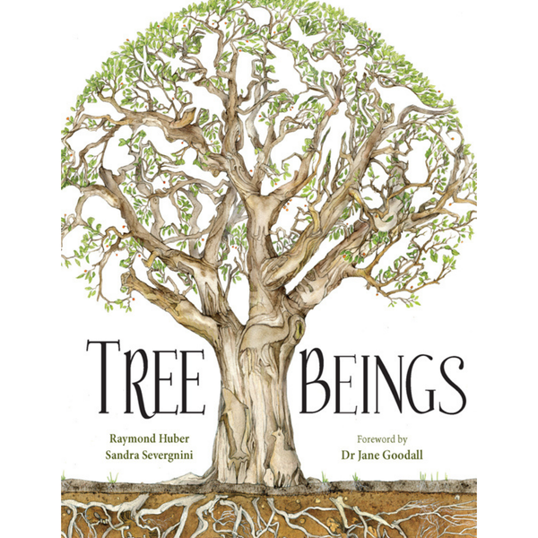 Tree Beings - Wild Island Tasmania